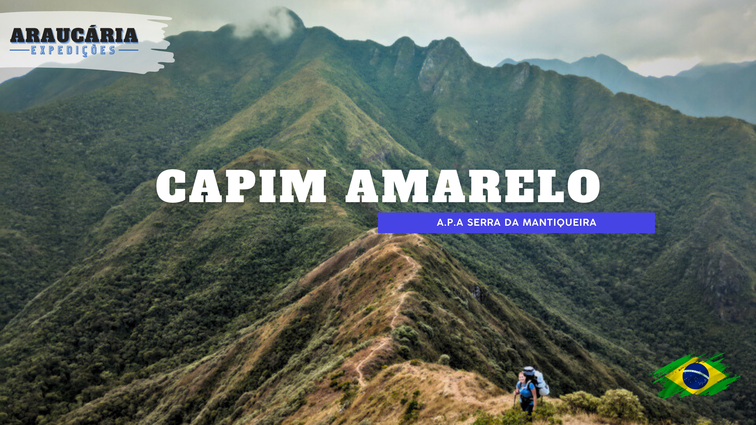 Capim Amarelo – Araucária Expedições